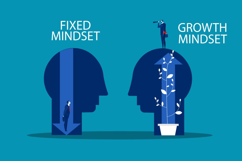 Wat is een fixed mindset vs een growth mindset? – Mindsetking